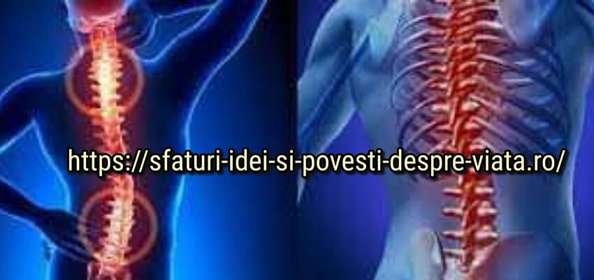 Coloana vertebrală: 5 exerciții pentru coloana vertebrală care tratează ...