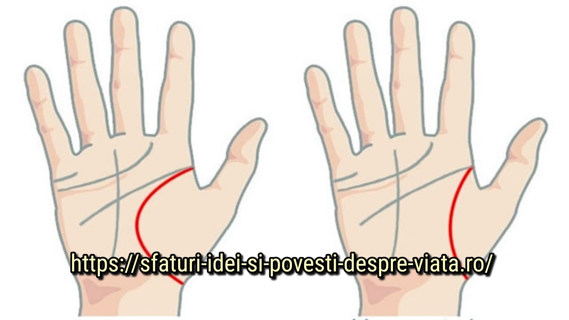 Fiecare linie de pe mâinile noastre înseamnă ceva și poate spune multe ...