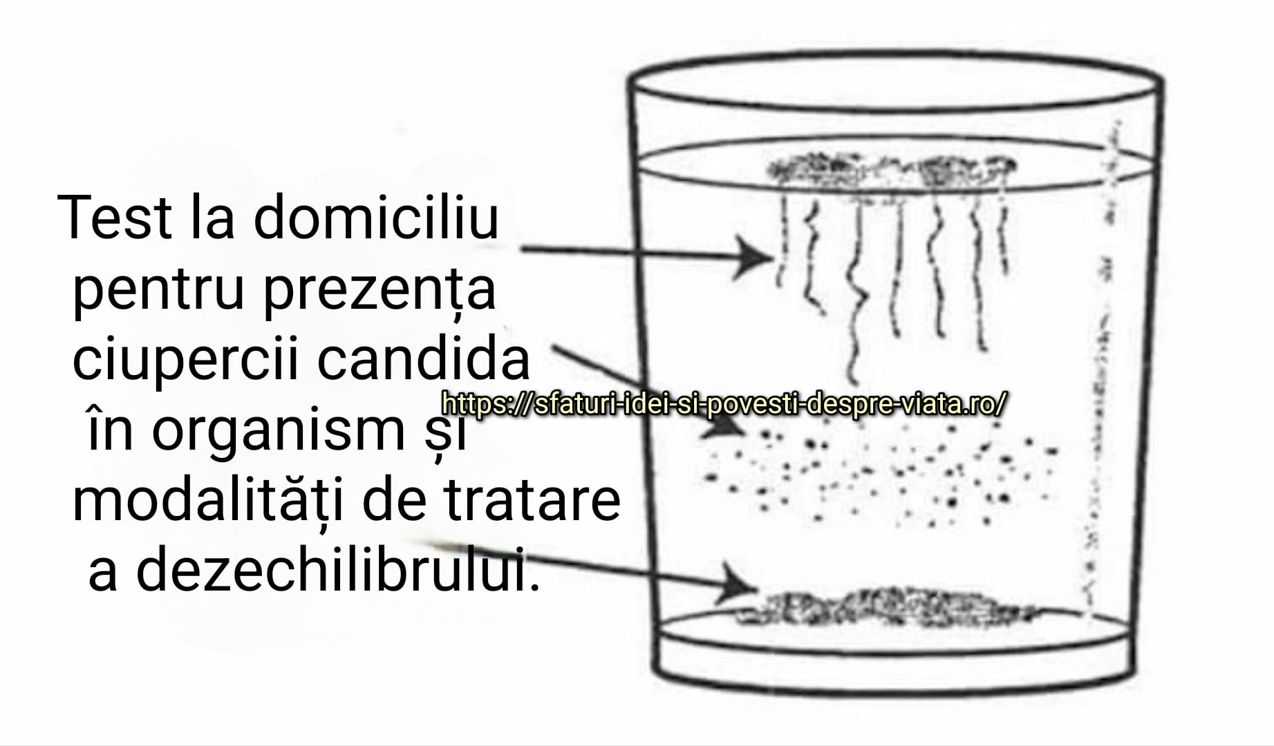 Test la domiciliu pentru prezența ciupercii candida în organism,cauze ...