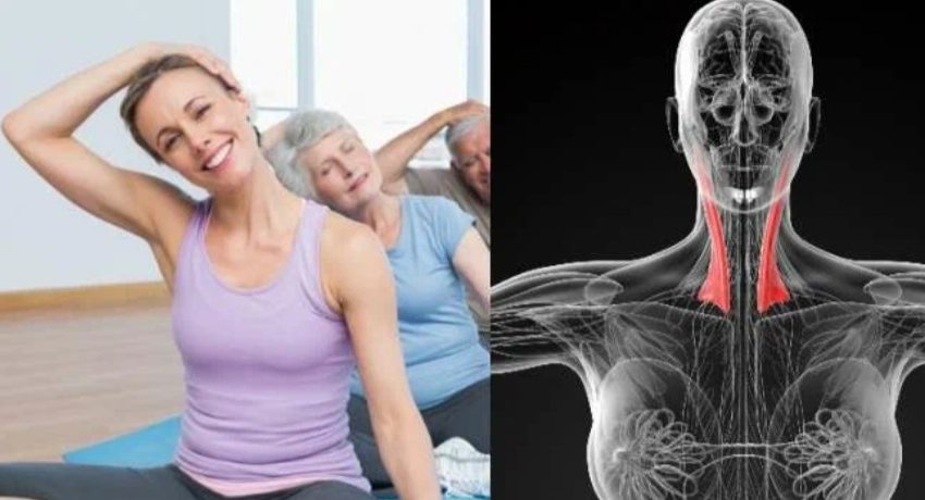 7 exerciții de întindere care vor înlocui un drum la terapeutul de ...