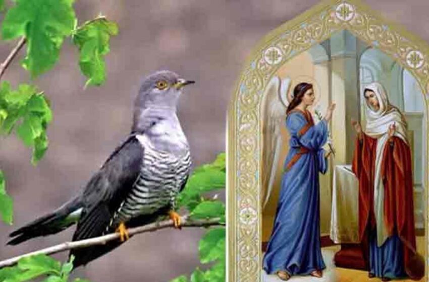 Obiceiuri, tradiții și superstiții de sarbatoarea Buna Vestire ...